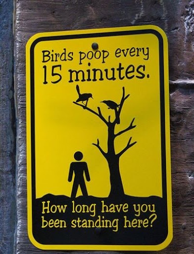 Runjun Blog: Funny Sign : Birds Poop Every 15 Minutes!